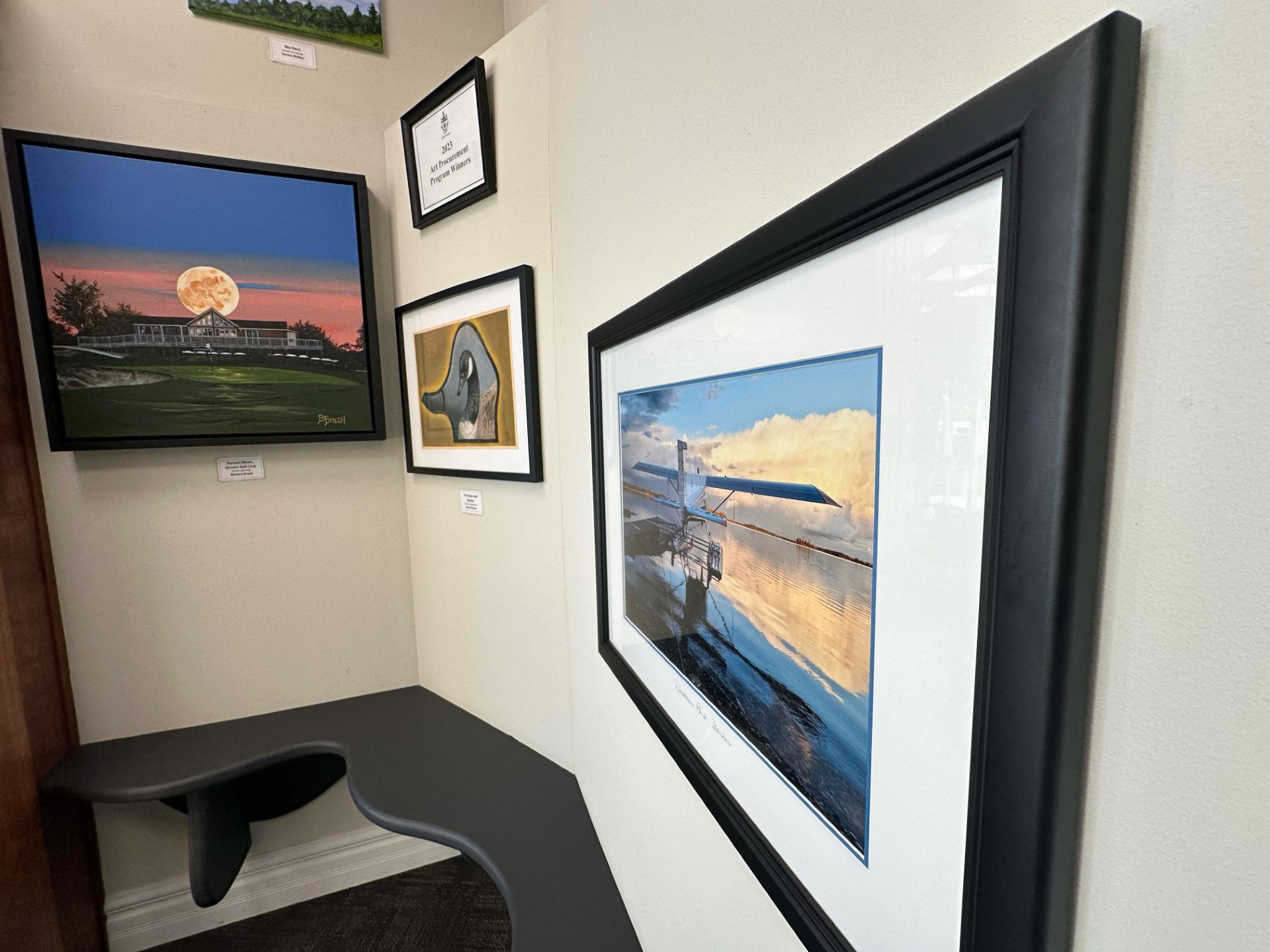 Art Gallery - Gander's Talent